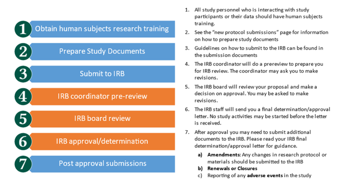 New Investigators - Investigators - Institutional Review Board ...