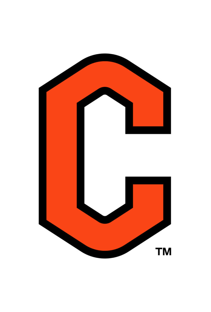 Campbell Athletics unveils new logo, brand identity - News | Campbell ...