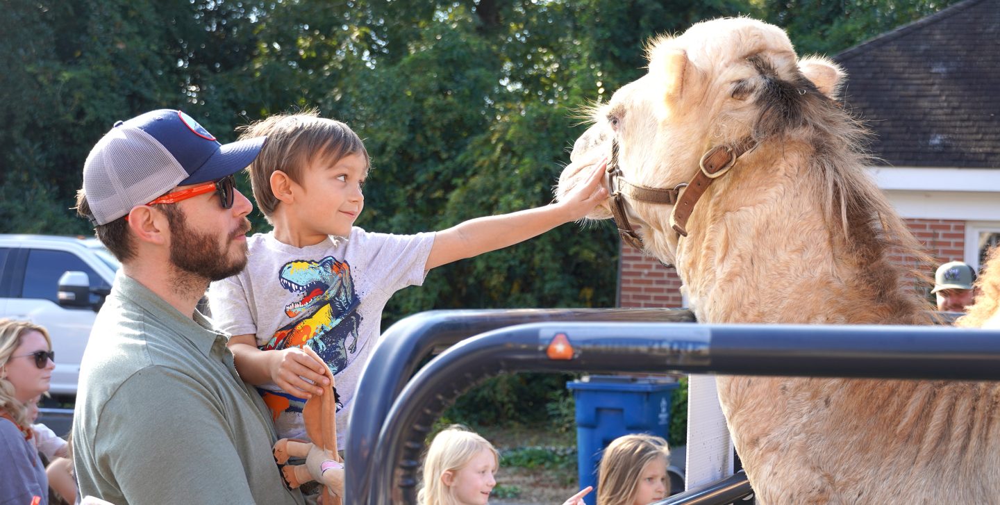First Alumni Block Party draws hundreds at Homecoming - News | Campbell ...