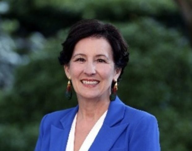 Author Valerie Bauerlein to speak at Craven-Everett Inn of Court on Nov ...