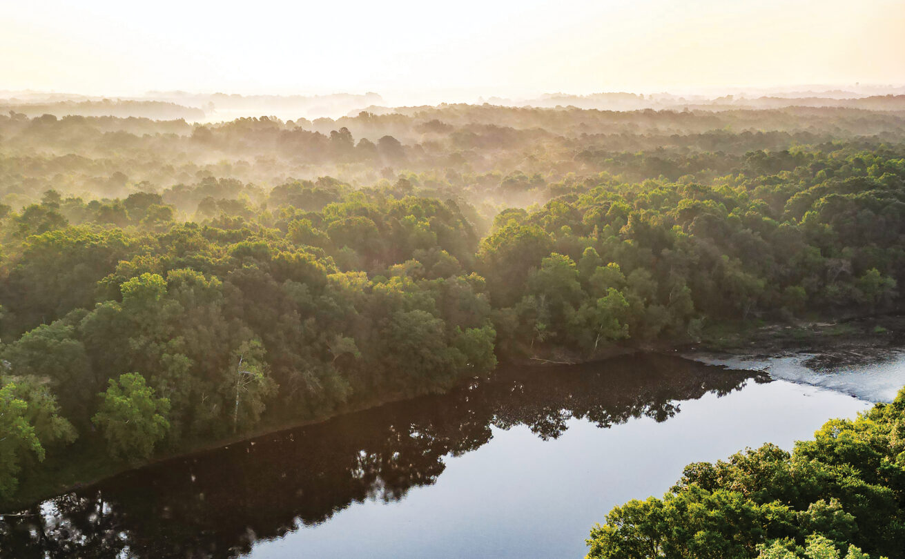 The Cape Crusader - Magazine | Campbell University