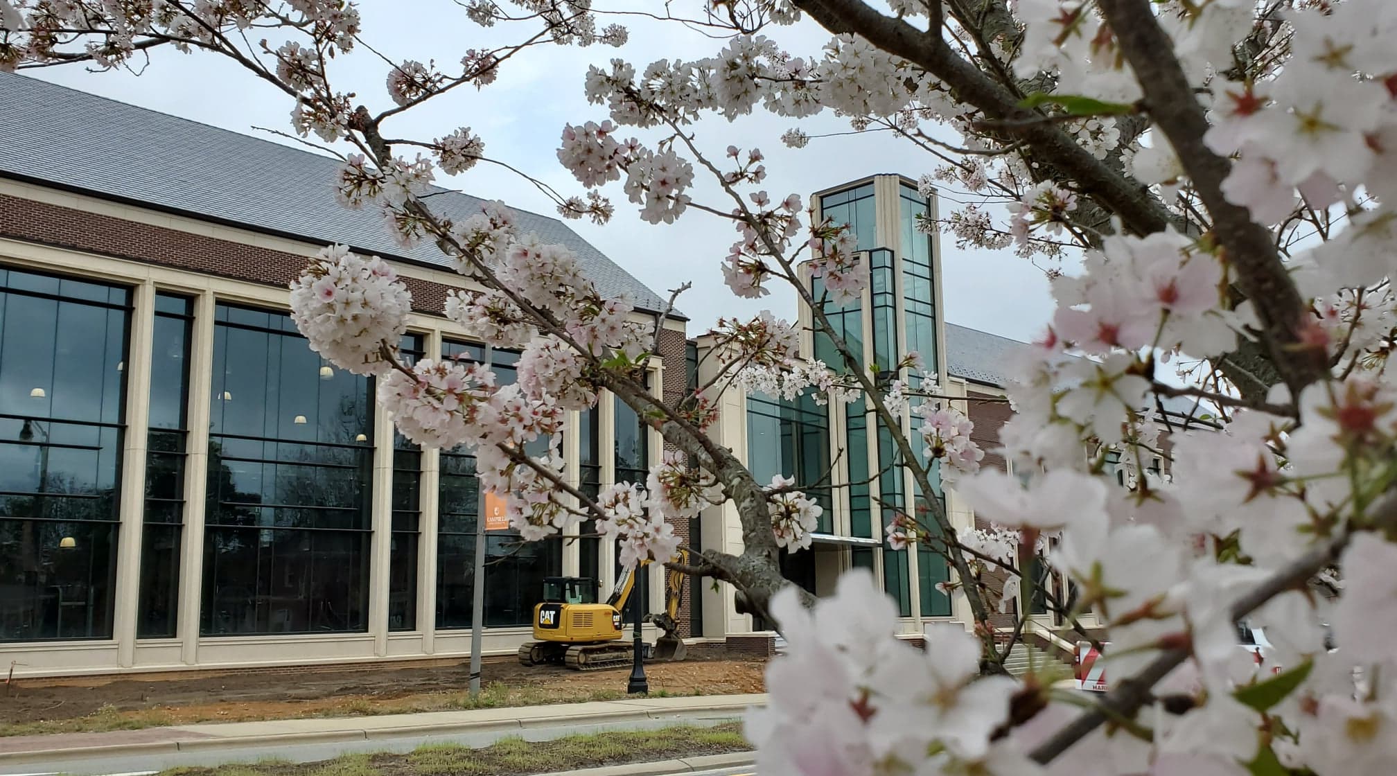 Encouraging advice from Alumni, Faculty and Staff - Blogs | Campbell ...